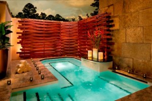 Pomegranate Spa Treatments at The Umstead Hotel and Spa